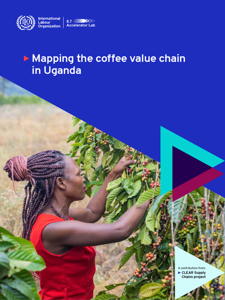Uganda Coffee Value Chain Mapping | PDF | Coffee | Creative Commons License