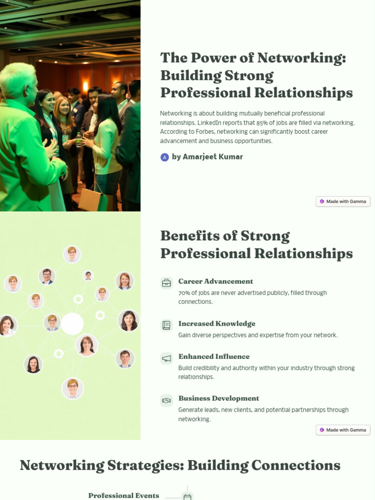 The Power of Networking Building Strong Professional Relationships | PDF