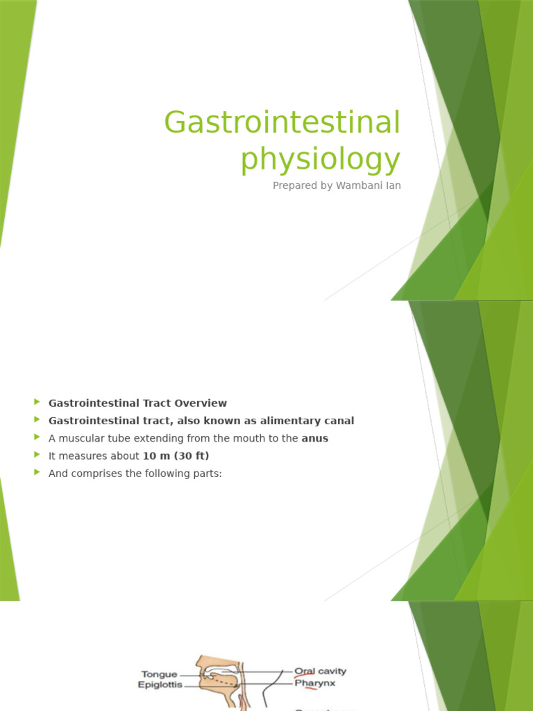 Gastrointestinal Physiology Overview | PDF | Gastrointestinal Tract ...