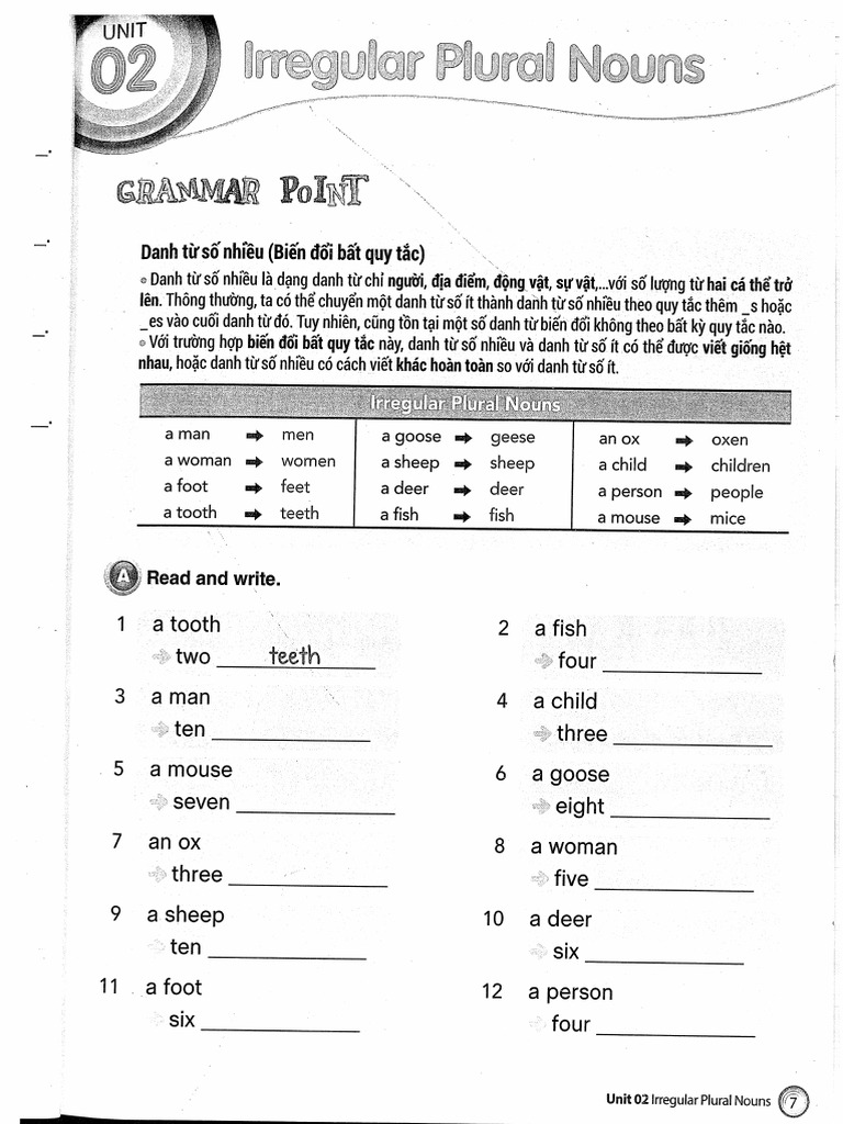 Lesson 3 - Irregular Plural Nouns | PDF