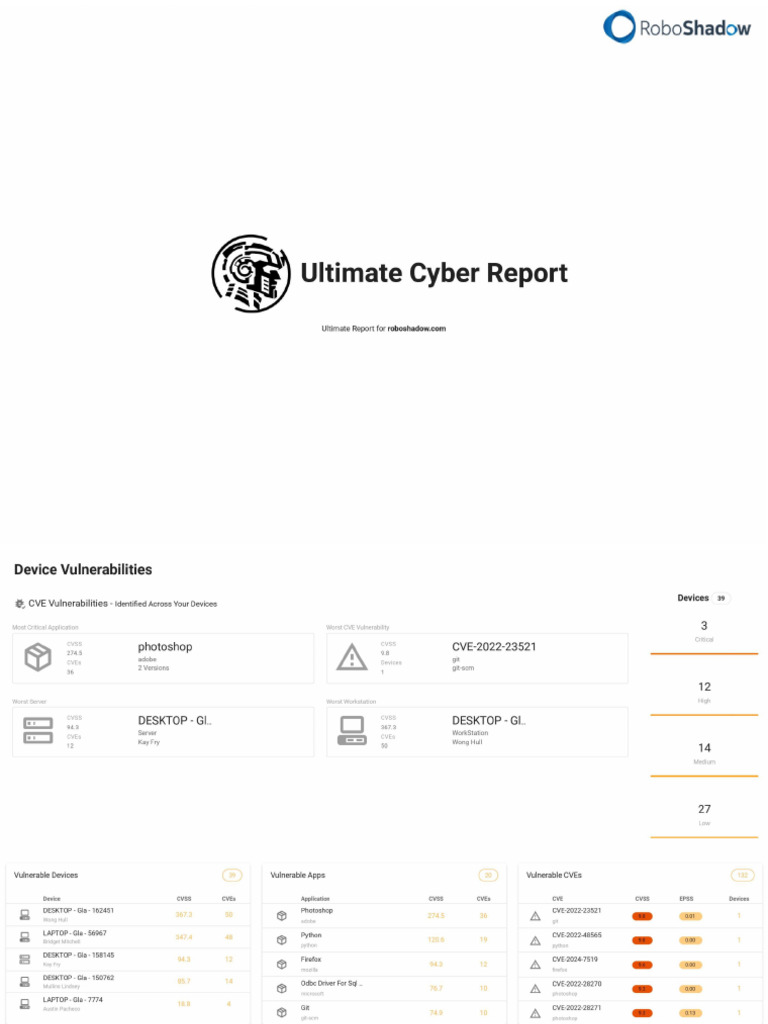 RoboShadow Ultimate Cyber Report Example | PDF