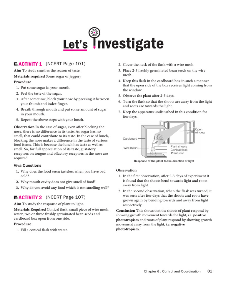 AIO 10th Science Ch. 6 Activity | PDF | Botany | Plants