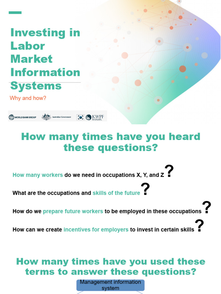 Investing in Labor Market Information Systems - Why and How | PDF | Employment | Labour Economics