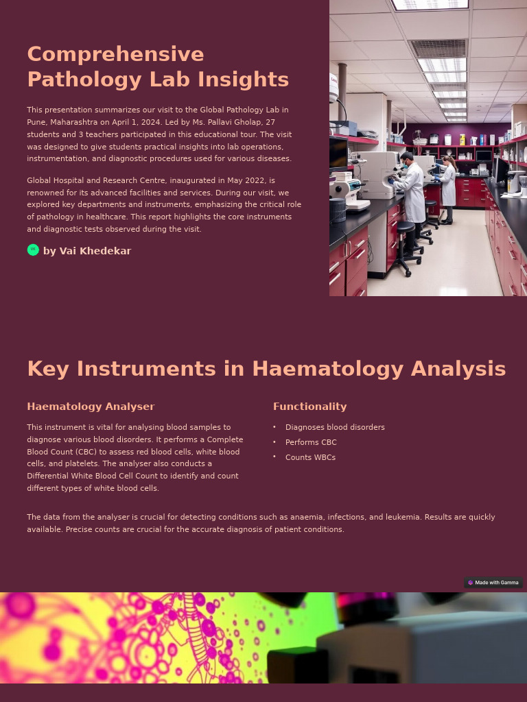 Comprehensive Pathology Lab Insights | PDF | Medical Imaging | Ct Scan