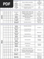 Fiche Eval Pratique Bilan Articulaire Et Mobilisation | PDF