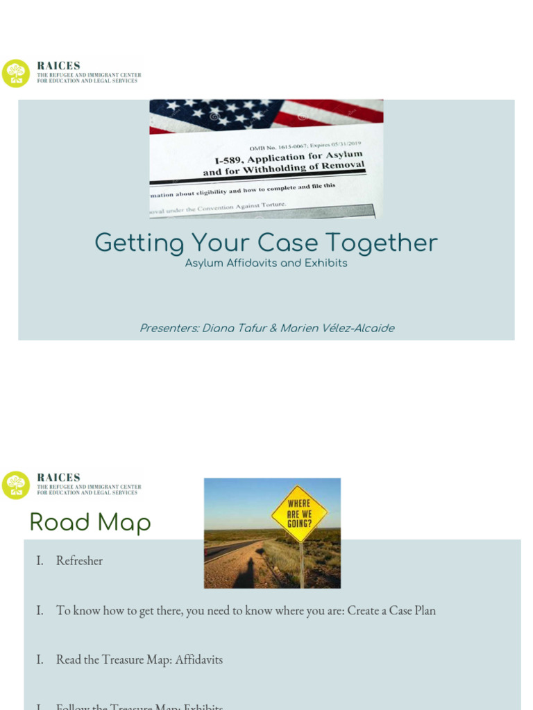 Asylum Case Planning Guide | PDF | Justice | Crime & Violence