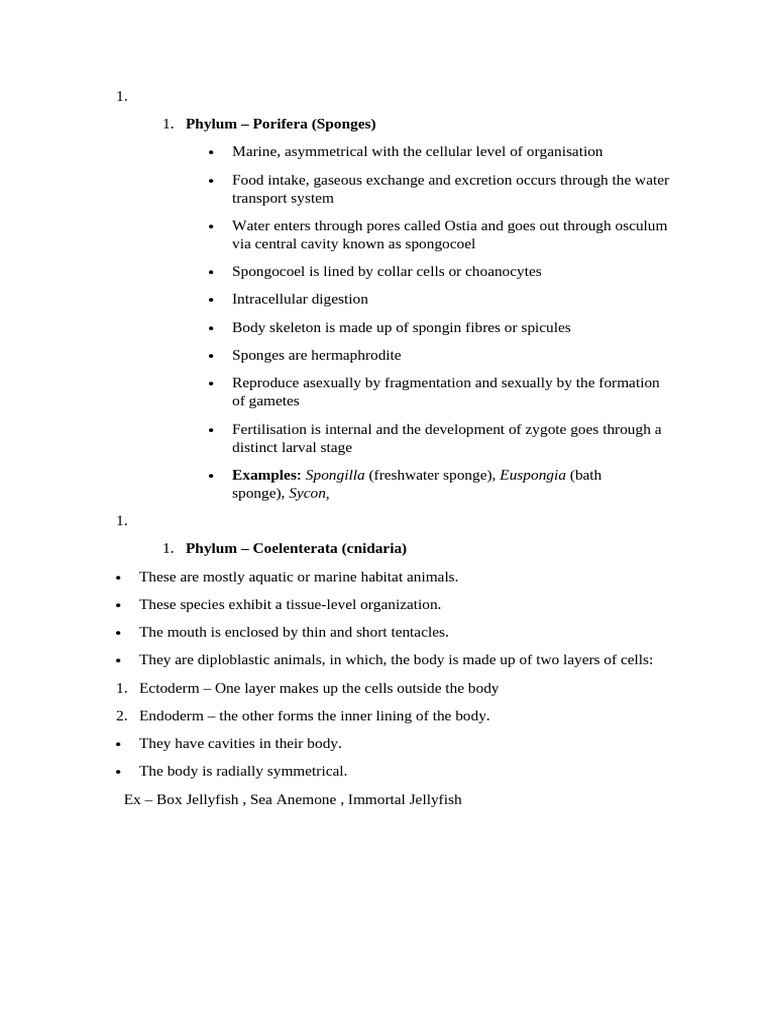 Overview of Animal Phyla Characteristics | PDF | Sponge | Vertebrates