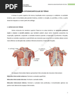 Anatomia e Funções do Tórax Humano | PDF | Sistema Locomotor | Sistema ...