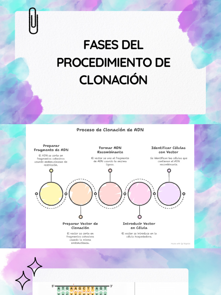 Clonación | PDF