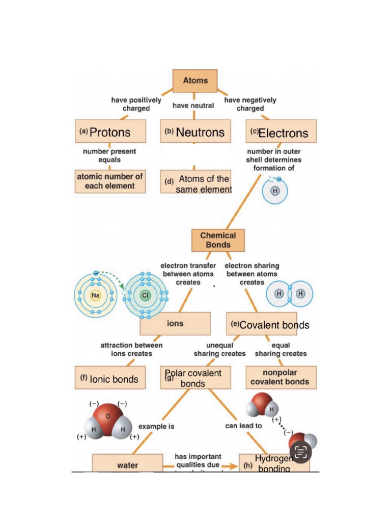 BIO Map 2 | PDF