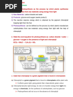 Destarching The Leaf | PDF | Photosynthesis | Leaf