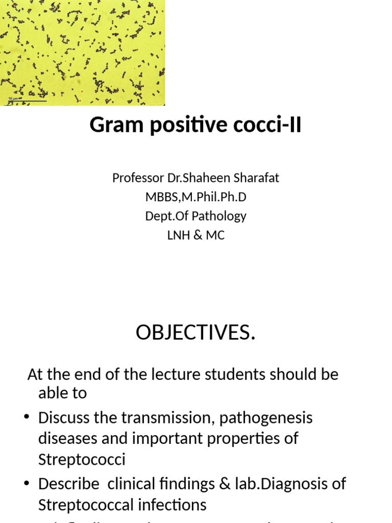 Gram Positive Cocci-II | PDF | Streptococcus | Infection