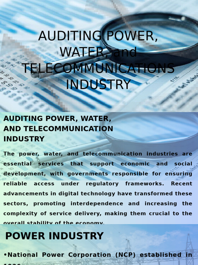 AUDITING POWER, WATER, and TELECOMMUNICATIONS INDUSTRY | PDF | Public ...