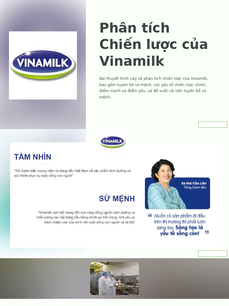 Phan Tich Chien Luoc Cua Vinamilk | PDF