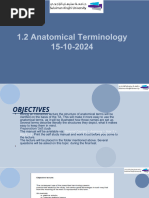 Topographic Anatomy Overview | PDF | Anatomical Terms Of Motion ...