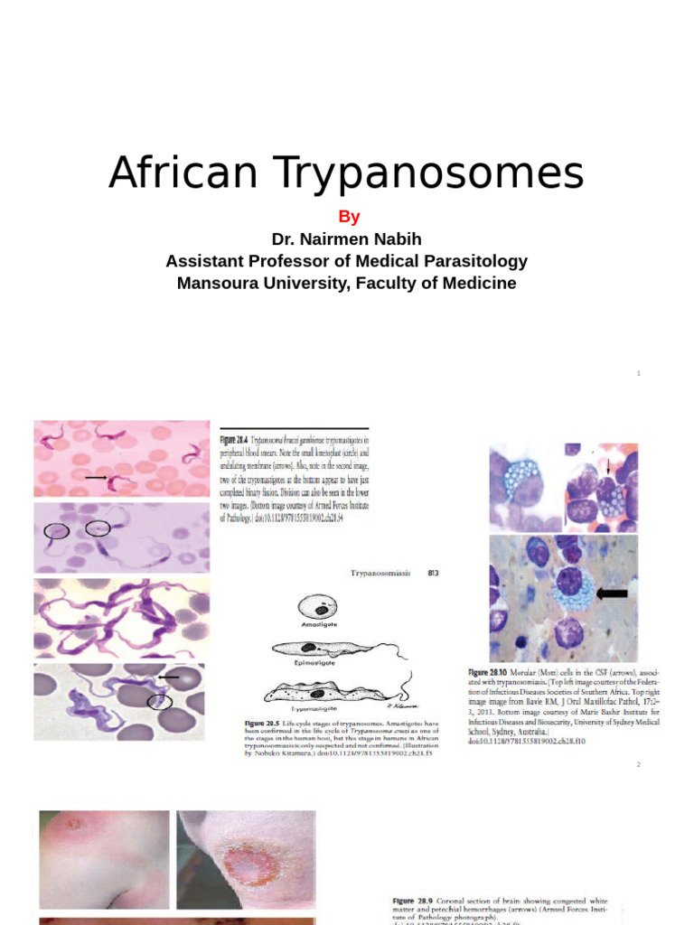 Understanding African Trypanosomes | PDF | Public Health | Animal Diseases