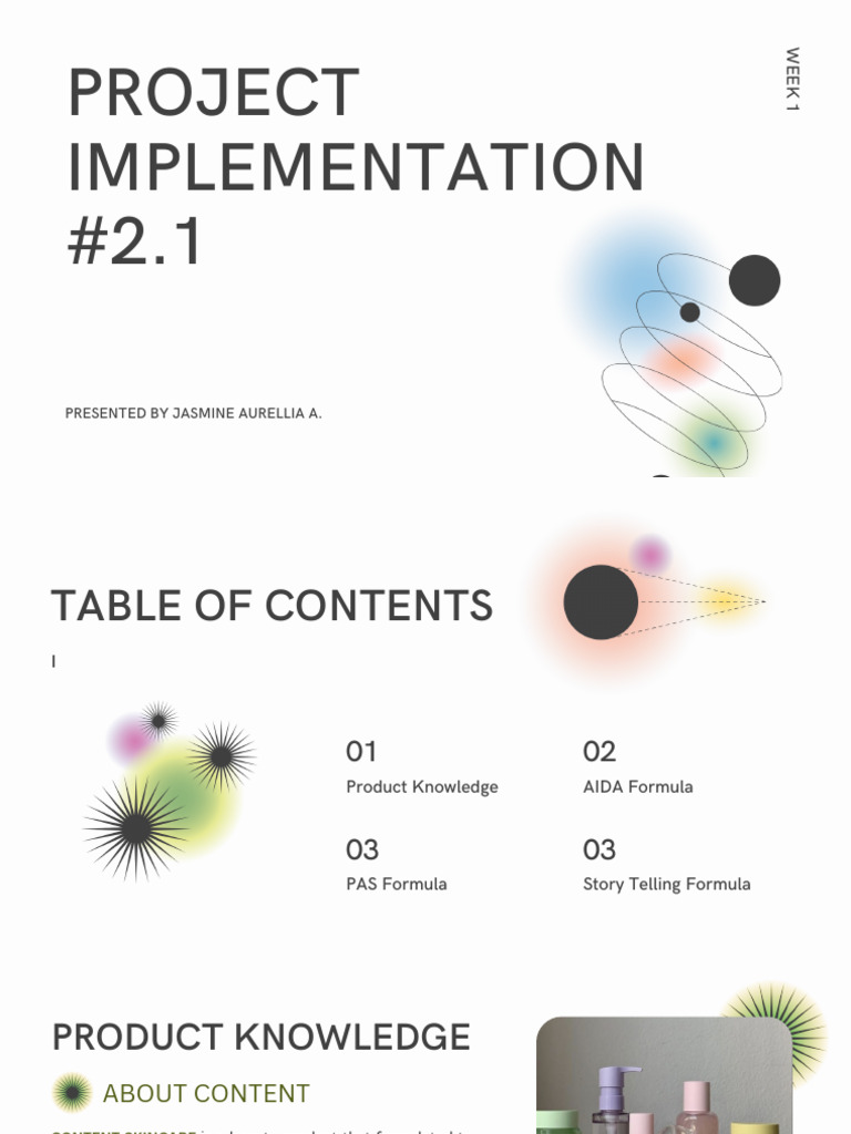 Ex Project Implementation | PDF