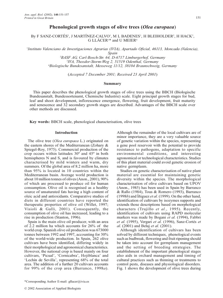 Phenological Growth Stage of Olive | PDF | Flowers | Petal