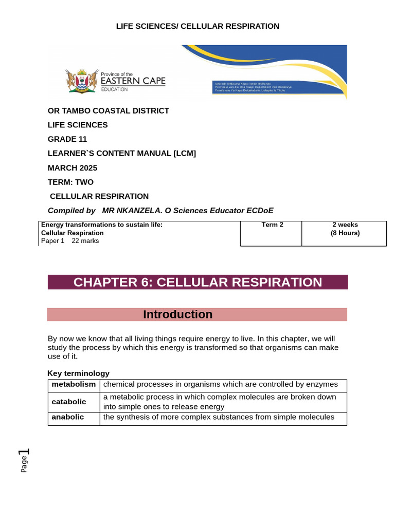 Cellular Respiration Notes | PDF | Cellular Respiration | Adenosine ...