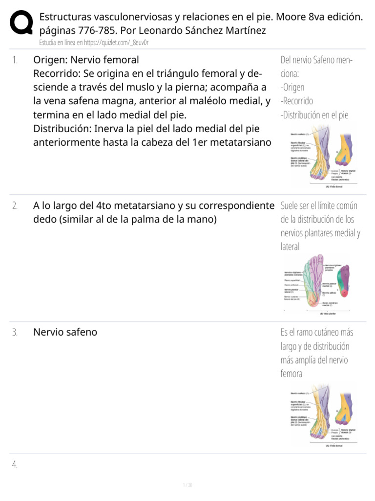 Del Nervio Safeno Men-Ciona: - Origen - Recorrido - Distribución en El ...