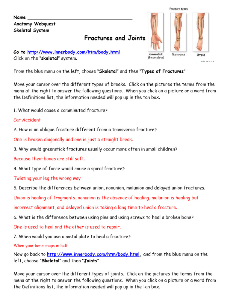 Skeletal System: Fractures and Joints Guide | PDF