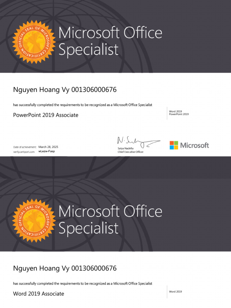 Nguyen Hoang Vy Word & PowerPoint 2019 | PDF