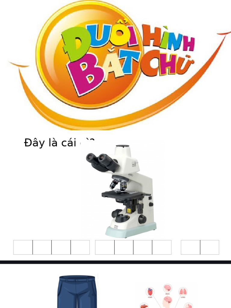 Đuổi Hình Bắt Chữ VSV | PDF