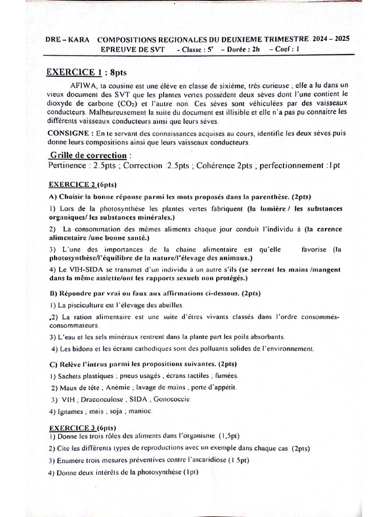 SVT 5è CRDT 2025 KARA | PDF