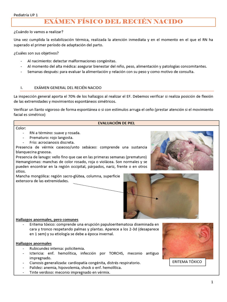 Exámen Físico Del Recién Nacido | PDF | Abdomen | Especialidades Medicas