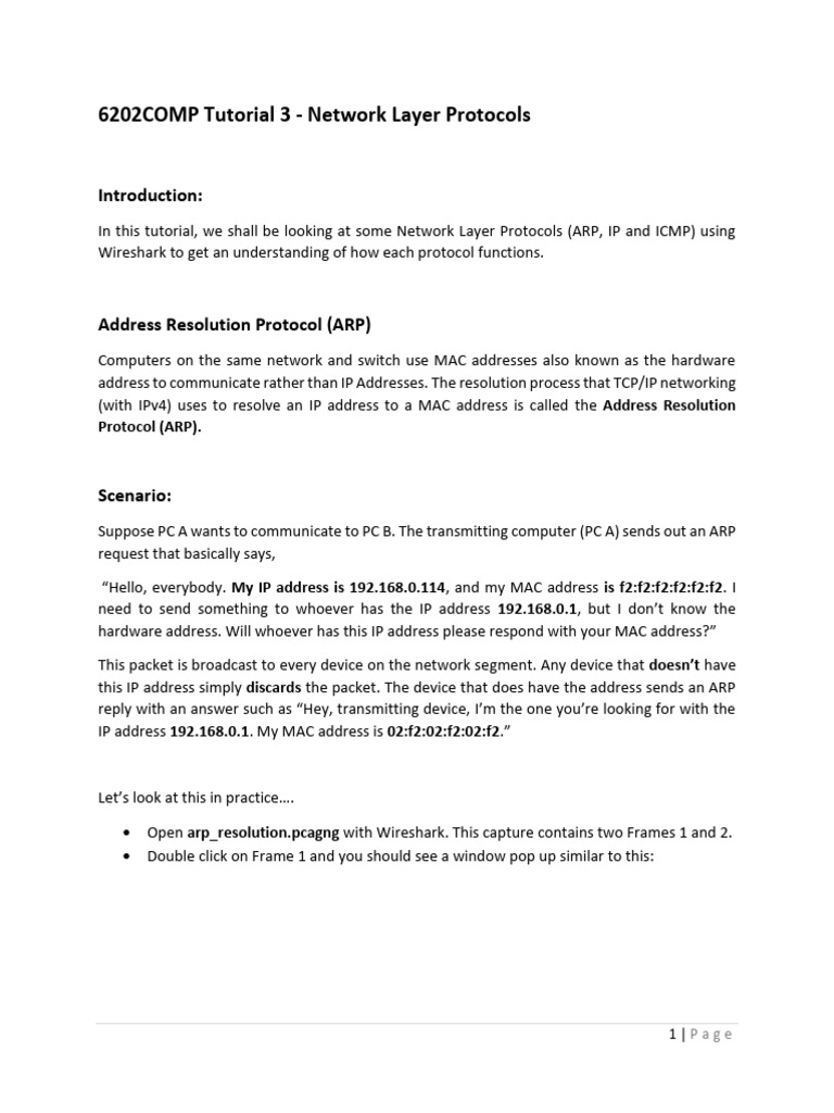 Tutorial 3 - Network Layer Protocols | PDF | Internet Protocols | Computer Network