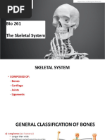 Skeletal System 206 Bones Comprehensive List | PDF | Skull ...