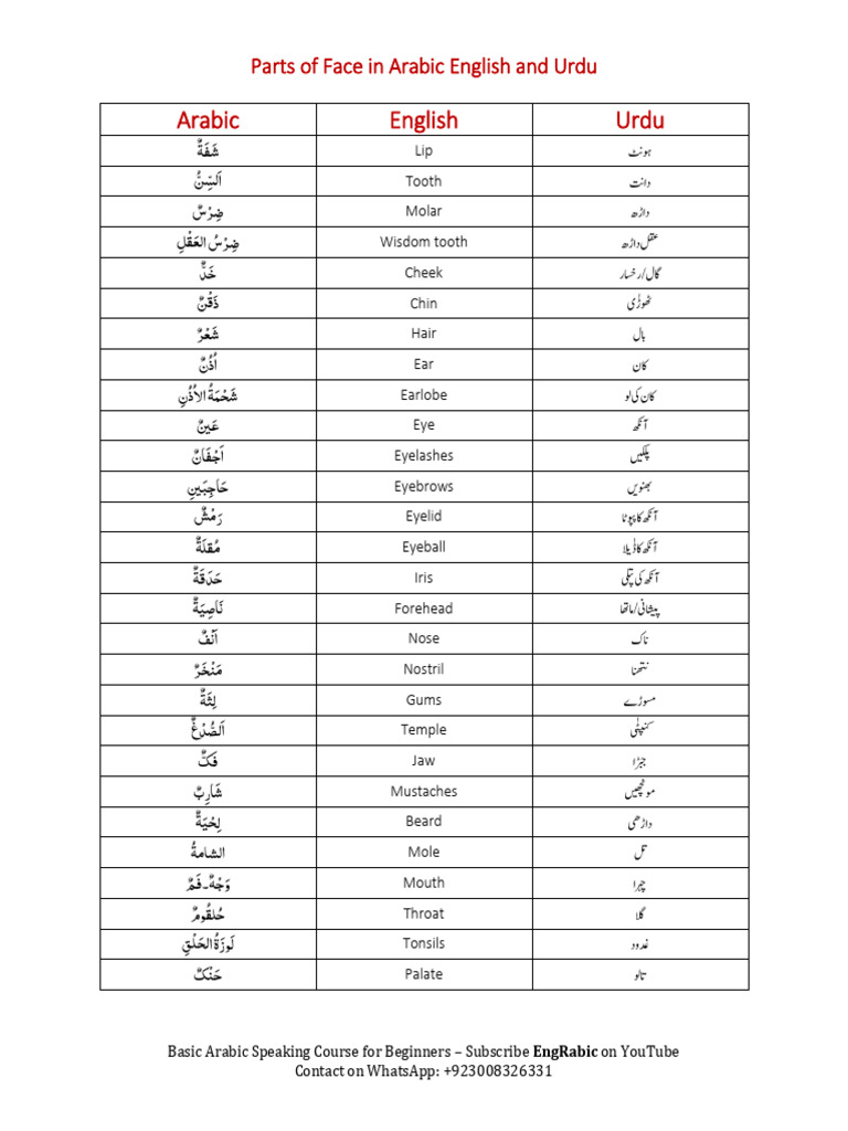 Parts of Face in Arabic | PDF