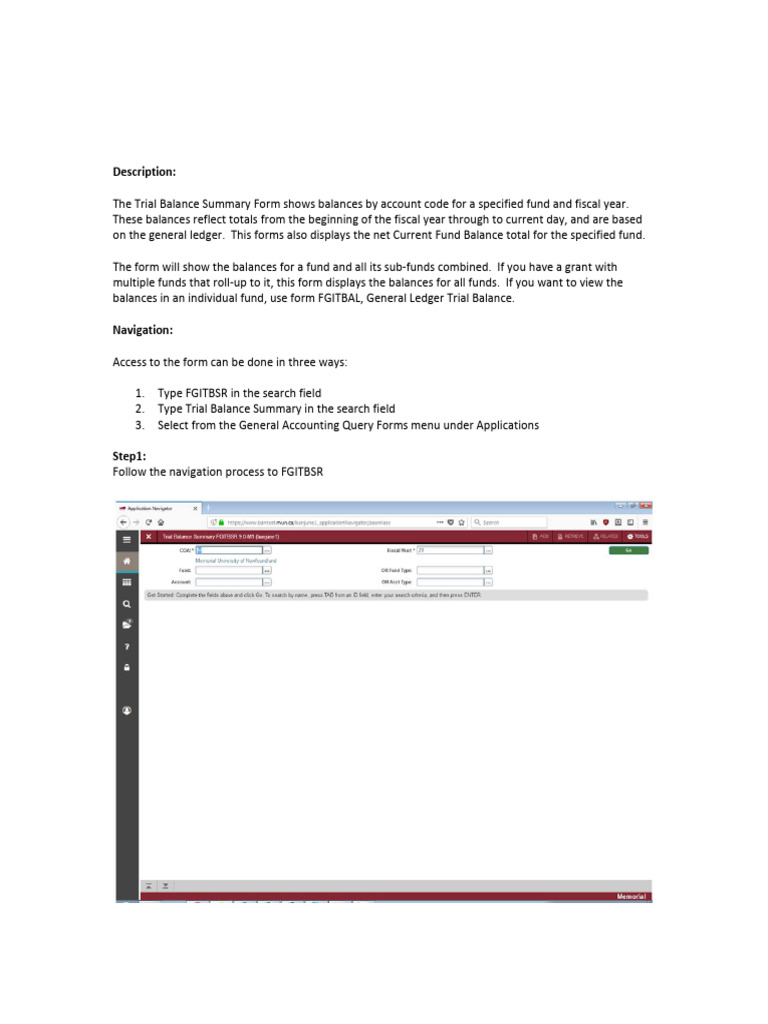Trial Balance Summary Form Guide | PDF | Debits And Credits