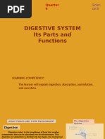 Grade 4 Science: Digestive System Overview | PDF | Digestion | Human Digestive System