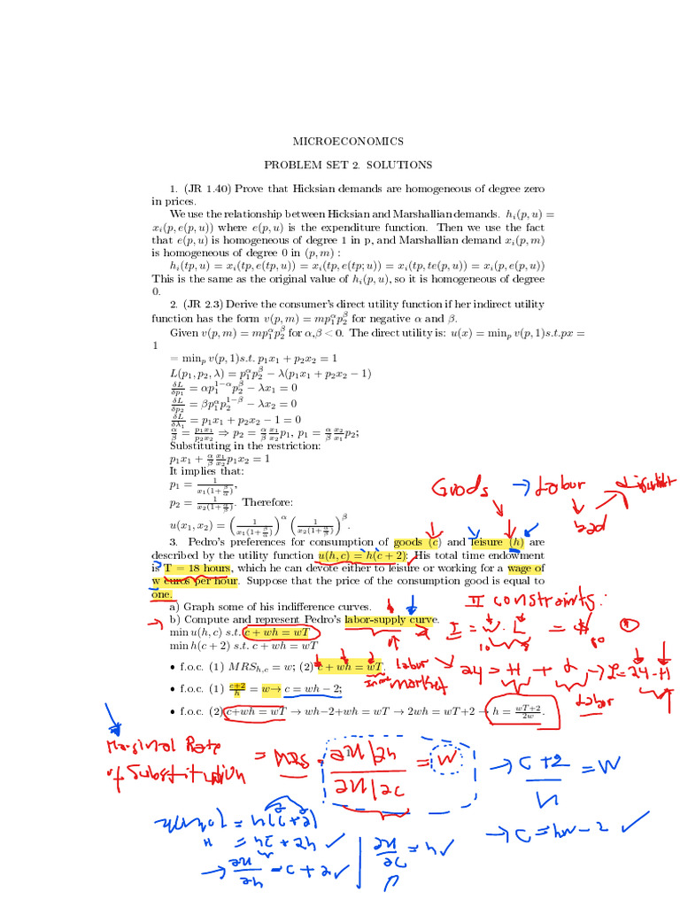 Problem Set 2 2020 SOLUTIONS (2917) | PDF | Consumer Behaviour | Economies