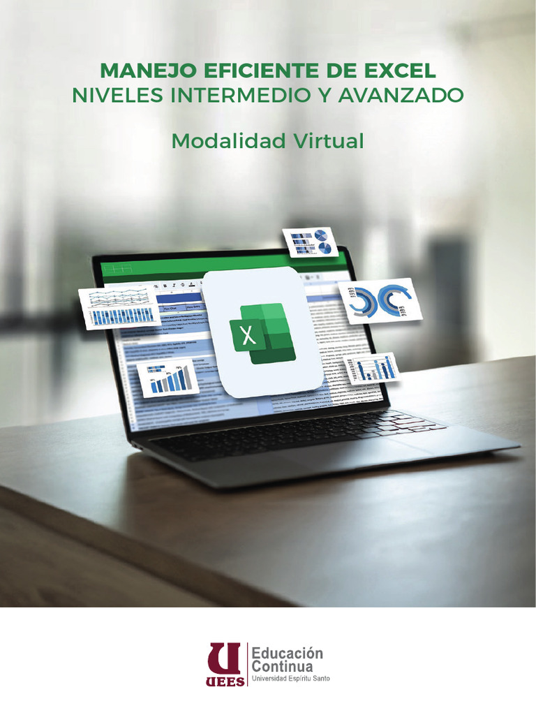 CONTENIDO-Manejo Eficiente de Excel Niveles Intermedio y Avanzado | PDF ...
