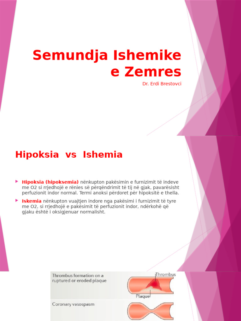 Sistemi Kardiovaskular | PDF