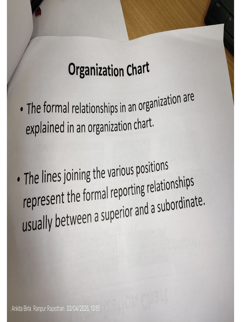 orgn chart and structure | PDF