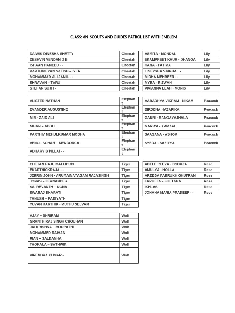 6N Patrol List | PDF
