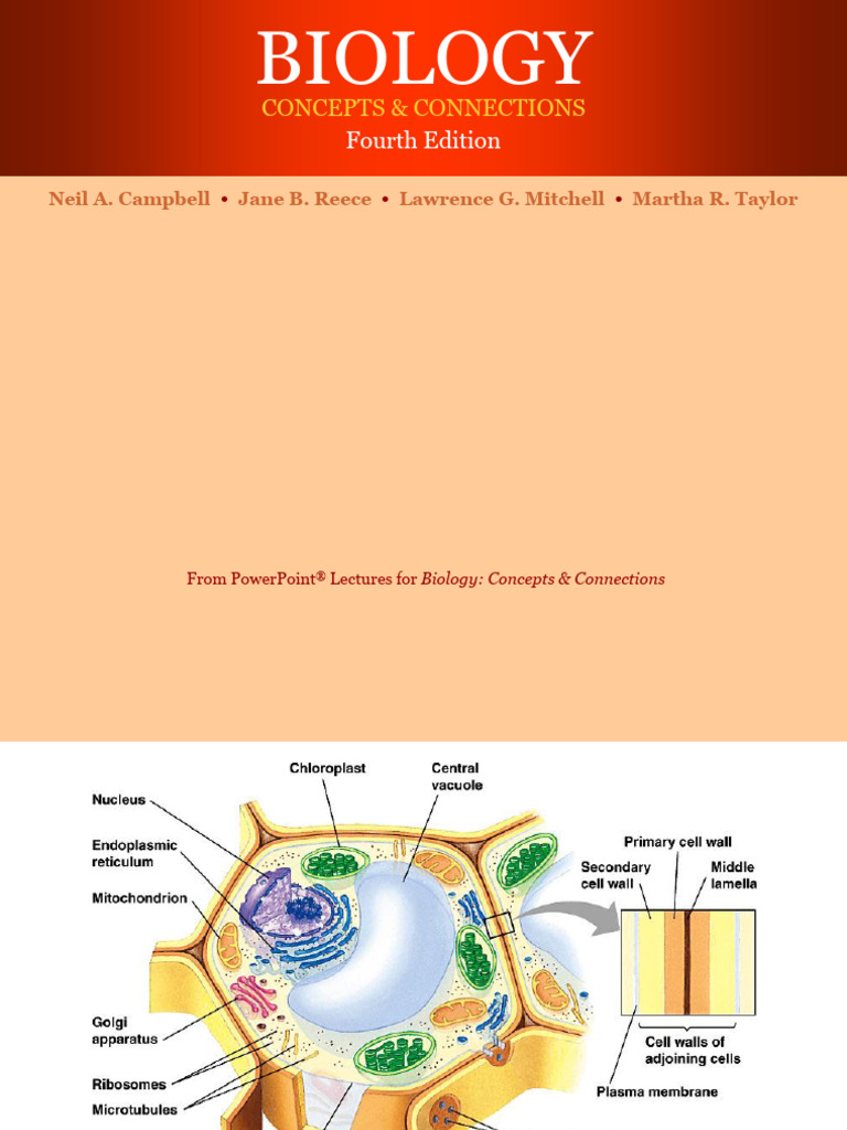 Cell Modifications in Plants and Animals | PDF | Epithelium | Tissue ...
