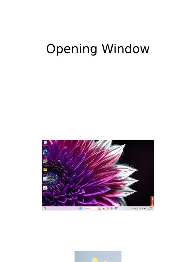 Opening Window | PDF
