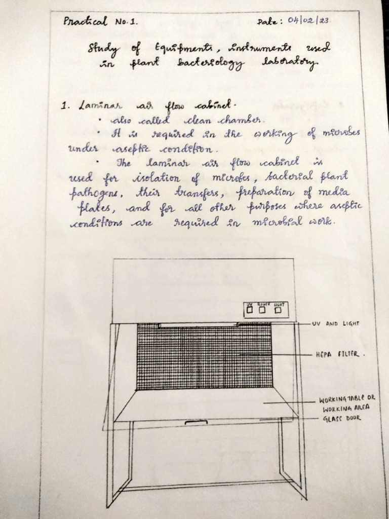 Bacteriology Practical | PDF