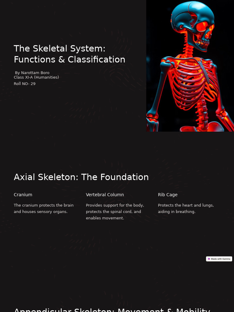 The Skeletal System Functions and Classification (1) | PDF | Bone | Skeleton