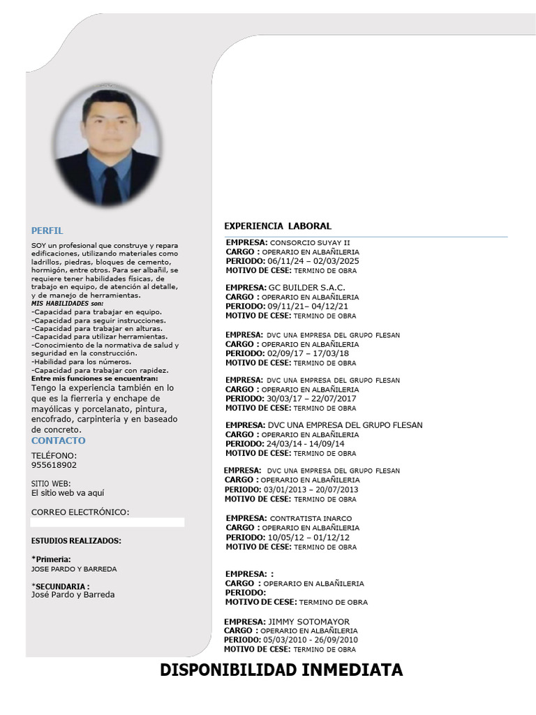 CV Edgar Almeyda 2025 - Actualizado | PDF | Información | Albañilería