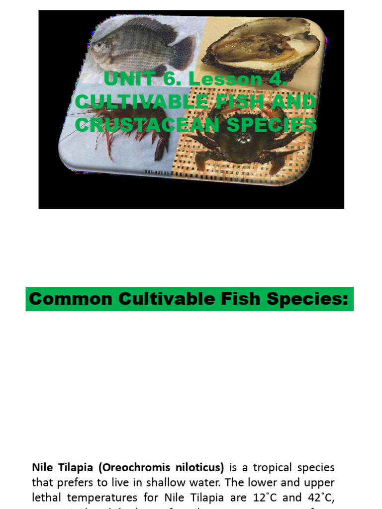 Cultivable Fish and Crustacean Species | PDF