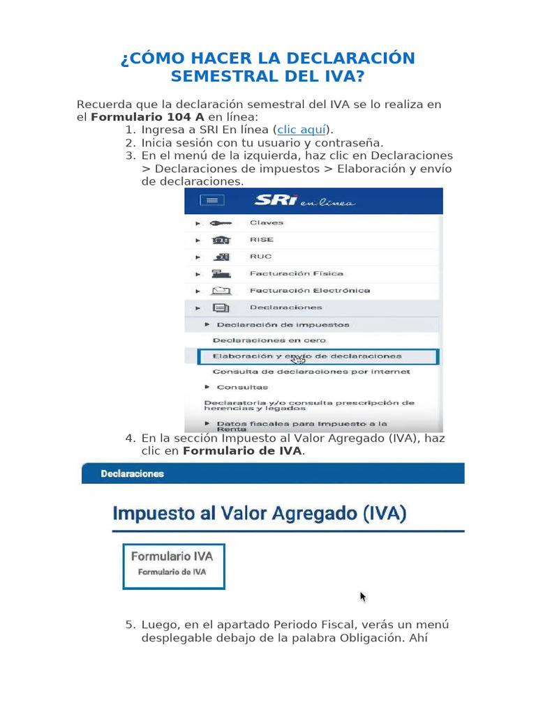 Declaracion Semestral Iva Papi Raul | PDF