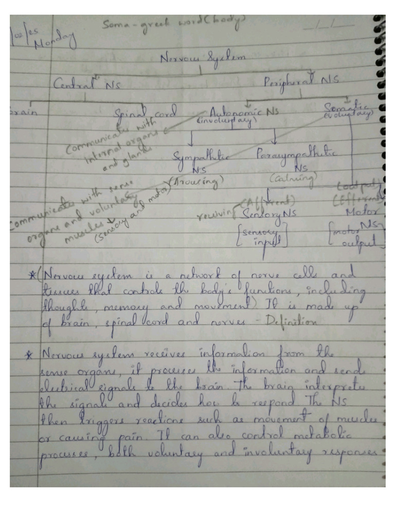 PDFGallery 20250402 195146 | PDF