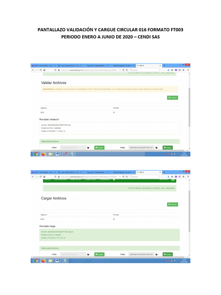 Validación Cargue Circular 016 FT003 | PDF