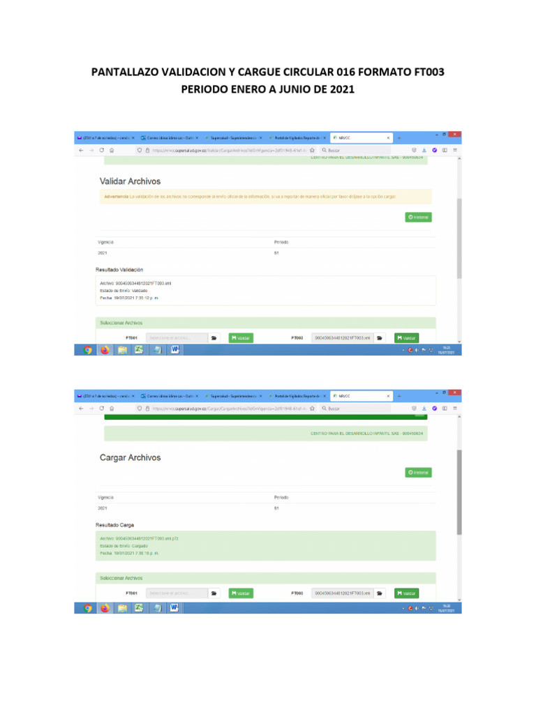 Pantallazo Validacion y Cargue Circular 016 Formato FT003 Periodo Enero ...