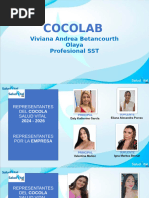 Funciones del Cocolab en el Trabajo | PDF